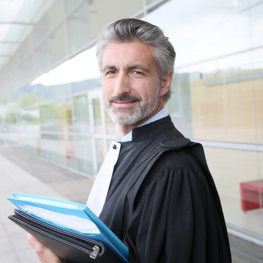 Tous les articles du site Avocat Christin : Avocat Christin